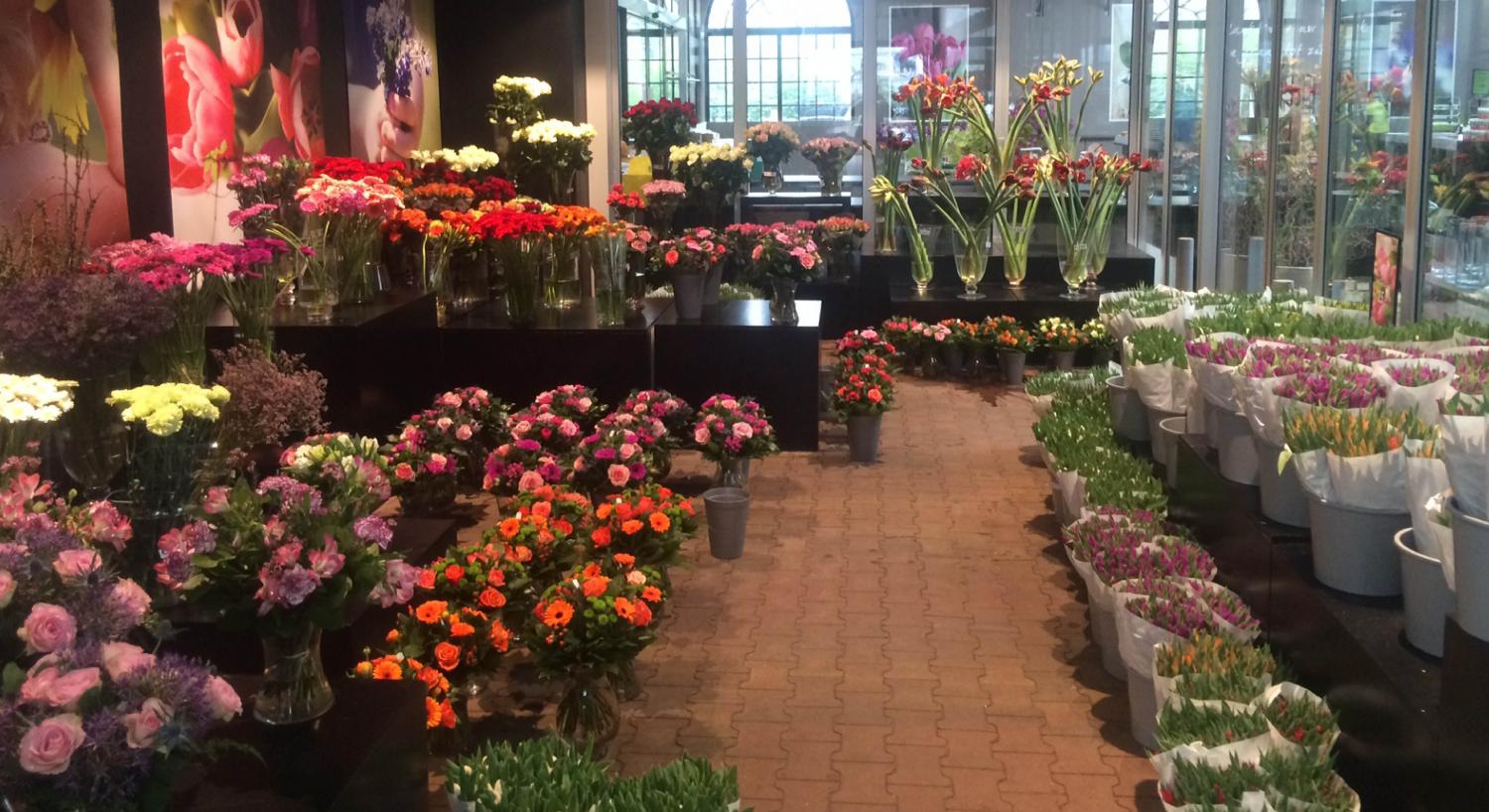 Snijbloemen | Rodenburg Home & Garden