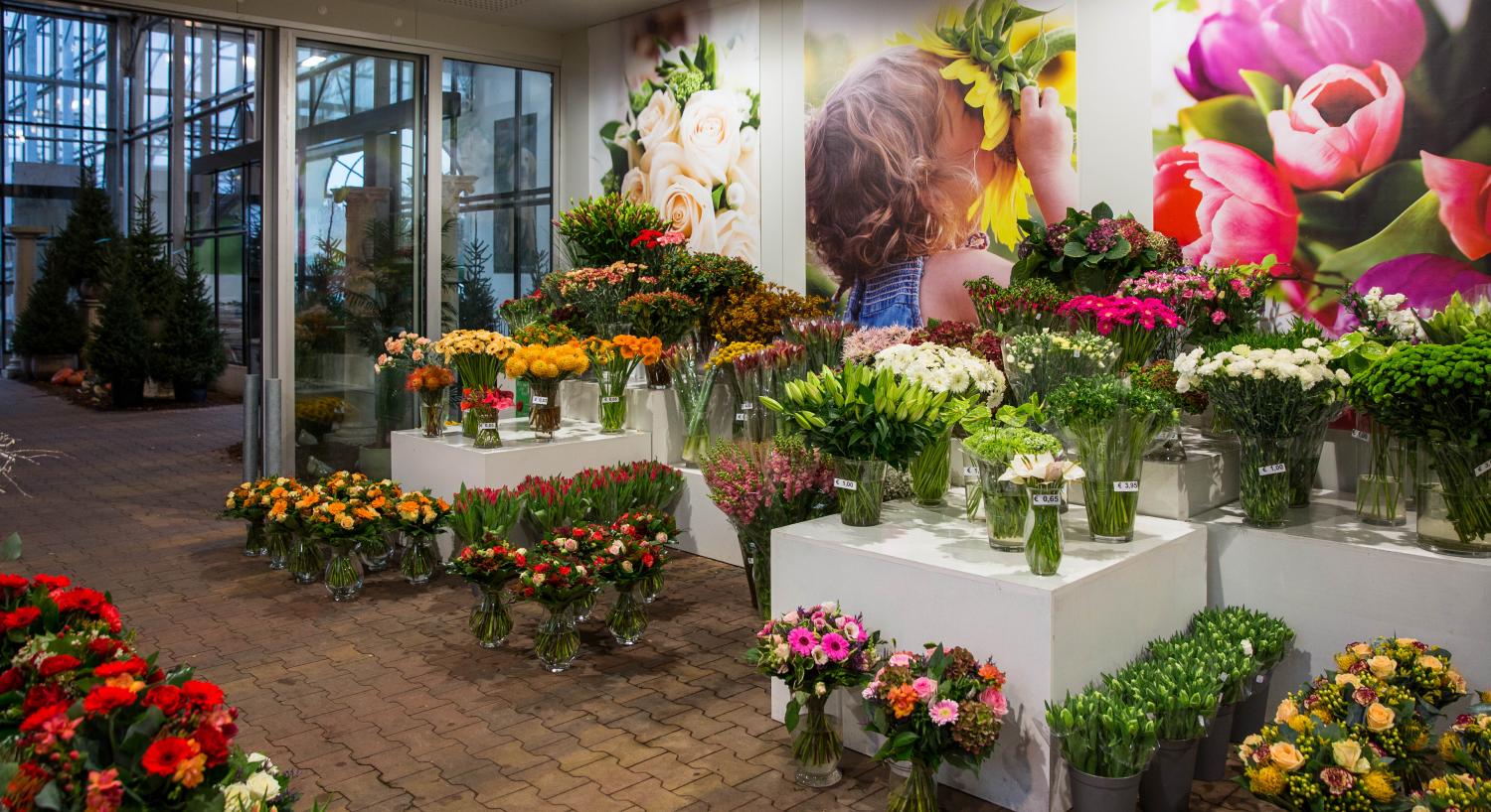 Snijbloemen | Rodenburg Home & Garden