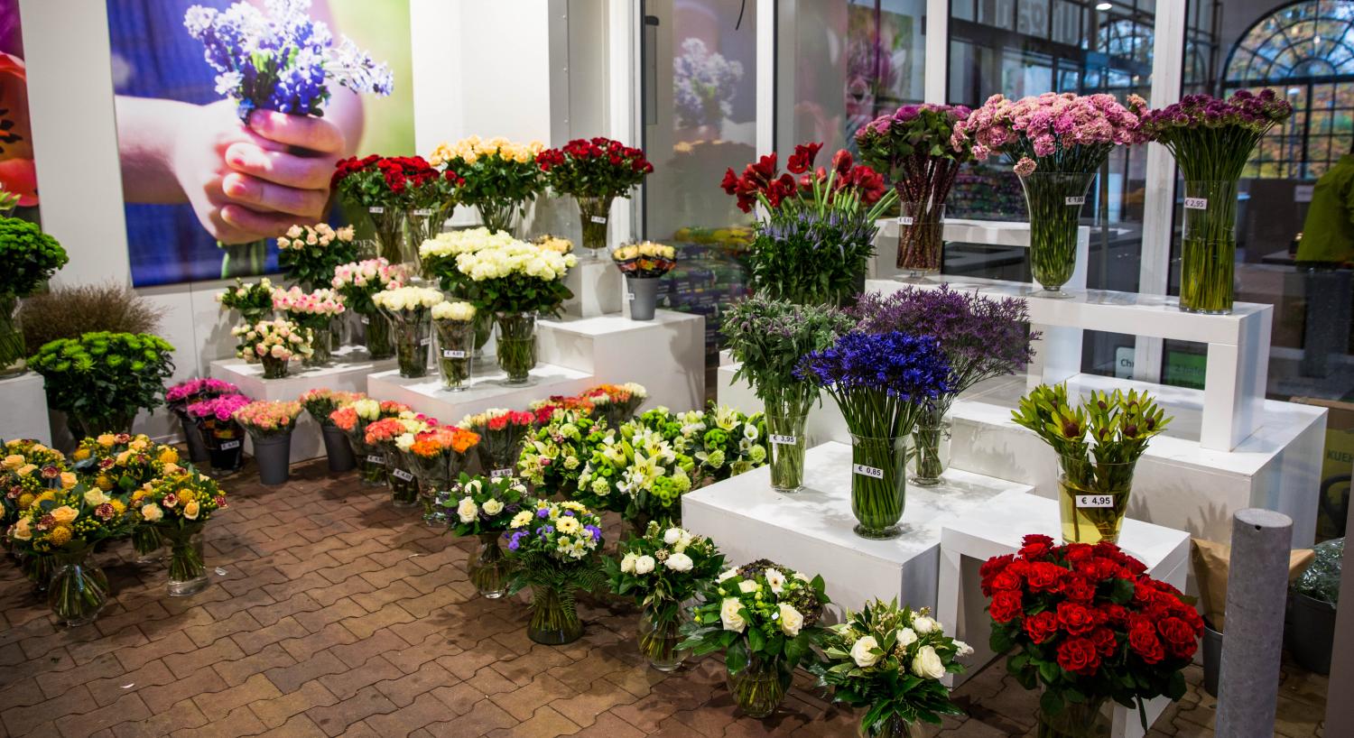 Snijbloemen | Rodenburg Home & Garden
